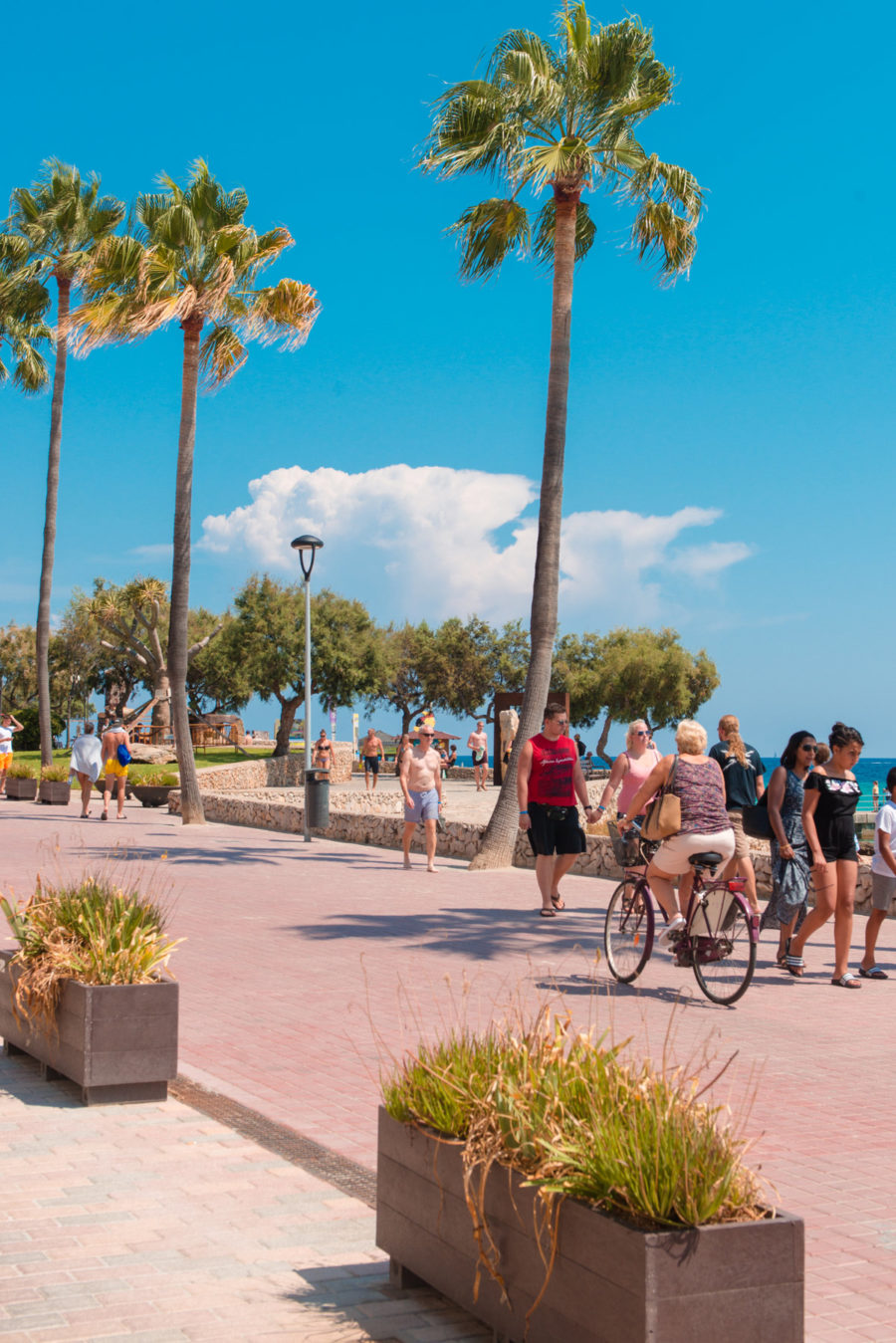 Mallorca en Julio - La vida en Mallorca