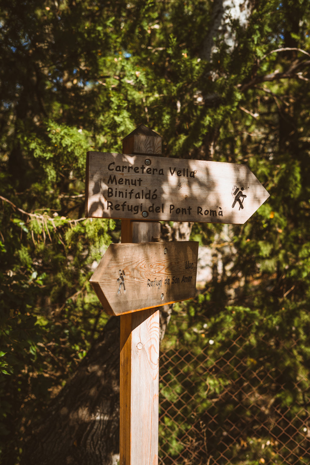 Mallorca en Febrero - La vida en Mallorca