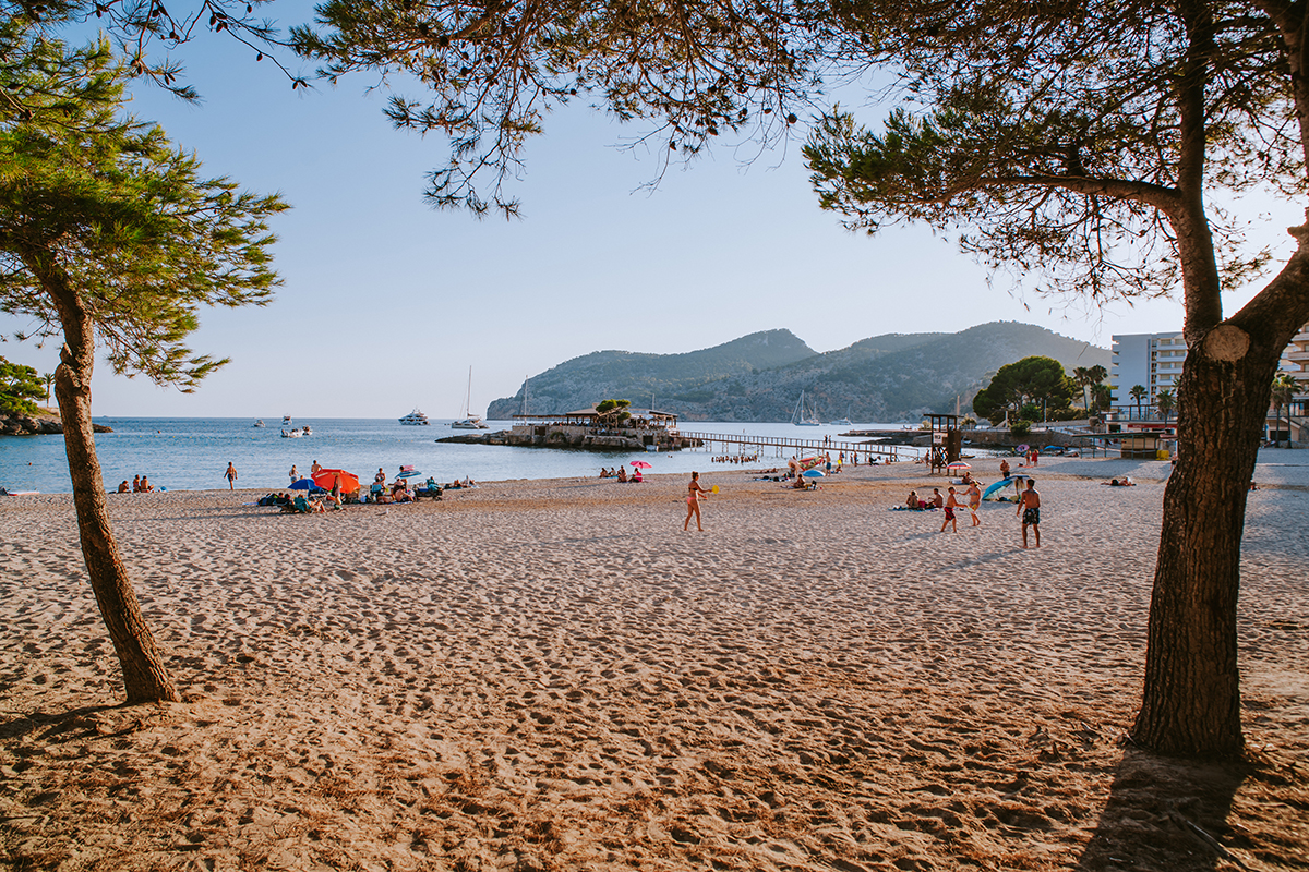 Camp de Mar - La vida en Mallorca