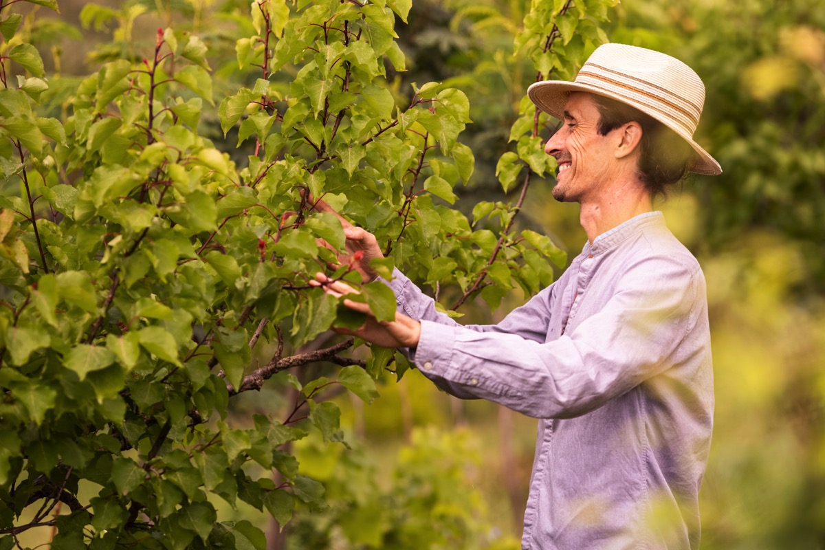 Natur im Einklang: Wie Permakultur Landschaften und Lebensstile ...